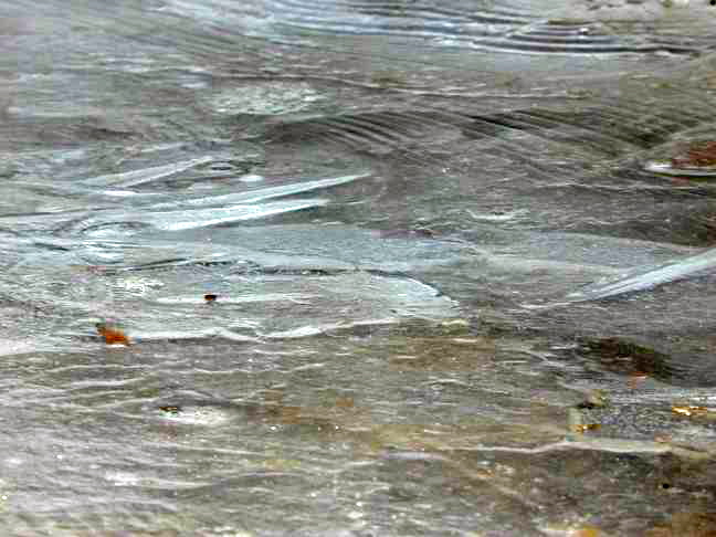 Solid Water – Monhegan Commons