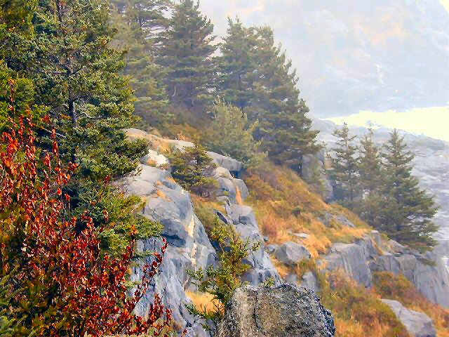 lifting Fog – Monhegan Commons