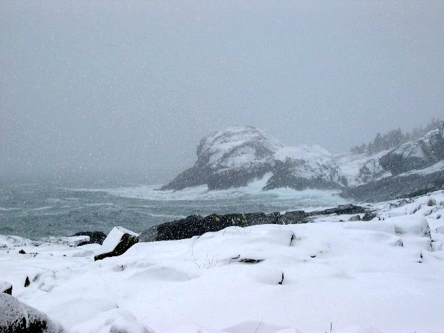 Gull Rock – Monhegan Commons