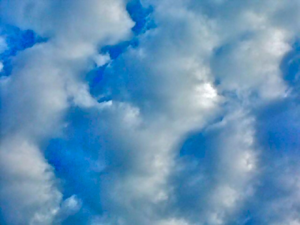 Patterns in the sky – Monhegan Commons