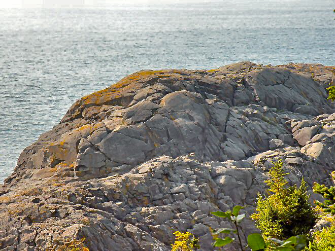 Gull Rock – Monhegan Commons