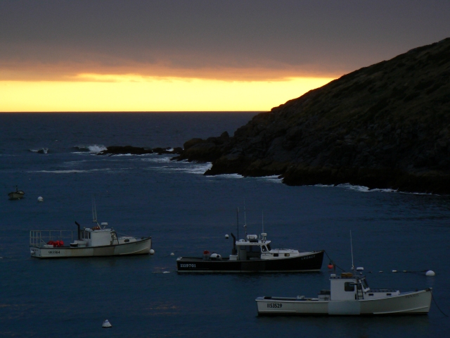 Doug Wray is on the Island! – Monhegan Commons
