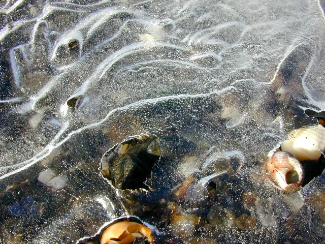 Salted Ice – Monhegan Commons