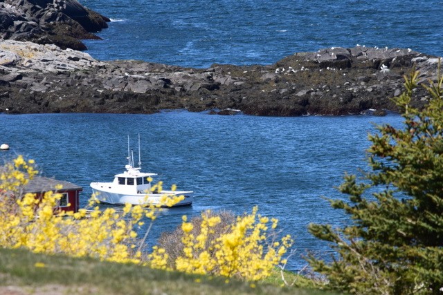 Entrance to Monhegan Harbor – Monhegan Commons