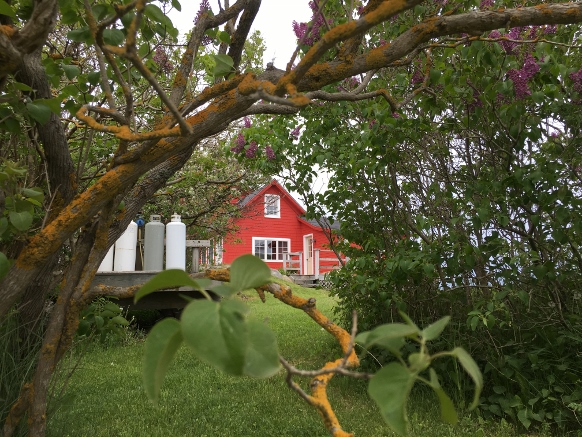 Red House Past the Lilac Bushes – Monhegan Commons